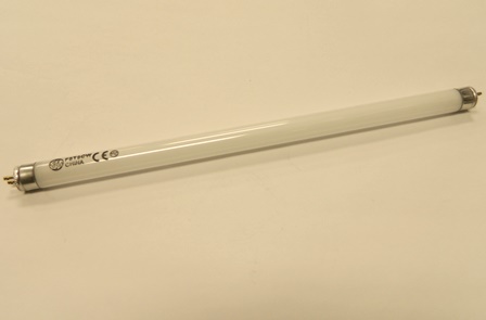 Fluorescent Light Bulb